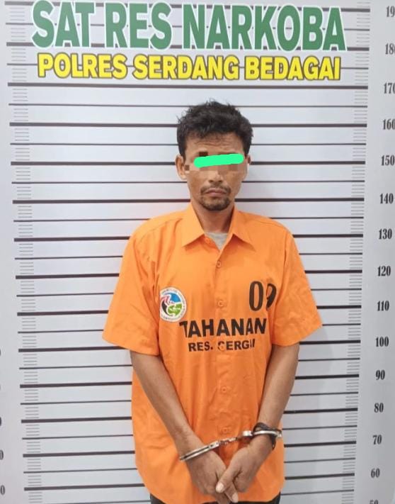 Sat Narkoba Polres Sergai Berhasil Tangkap Seorang Pengedar Ekstasi Asal Medan - RIMBUN NEWS